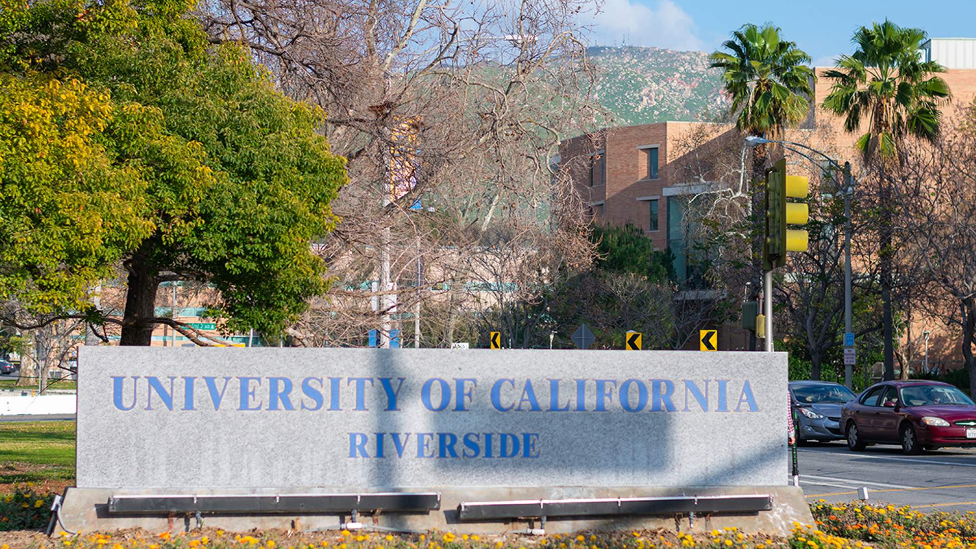 University of California Riverside Ranks Among Top 1.3% of Universities ...